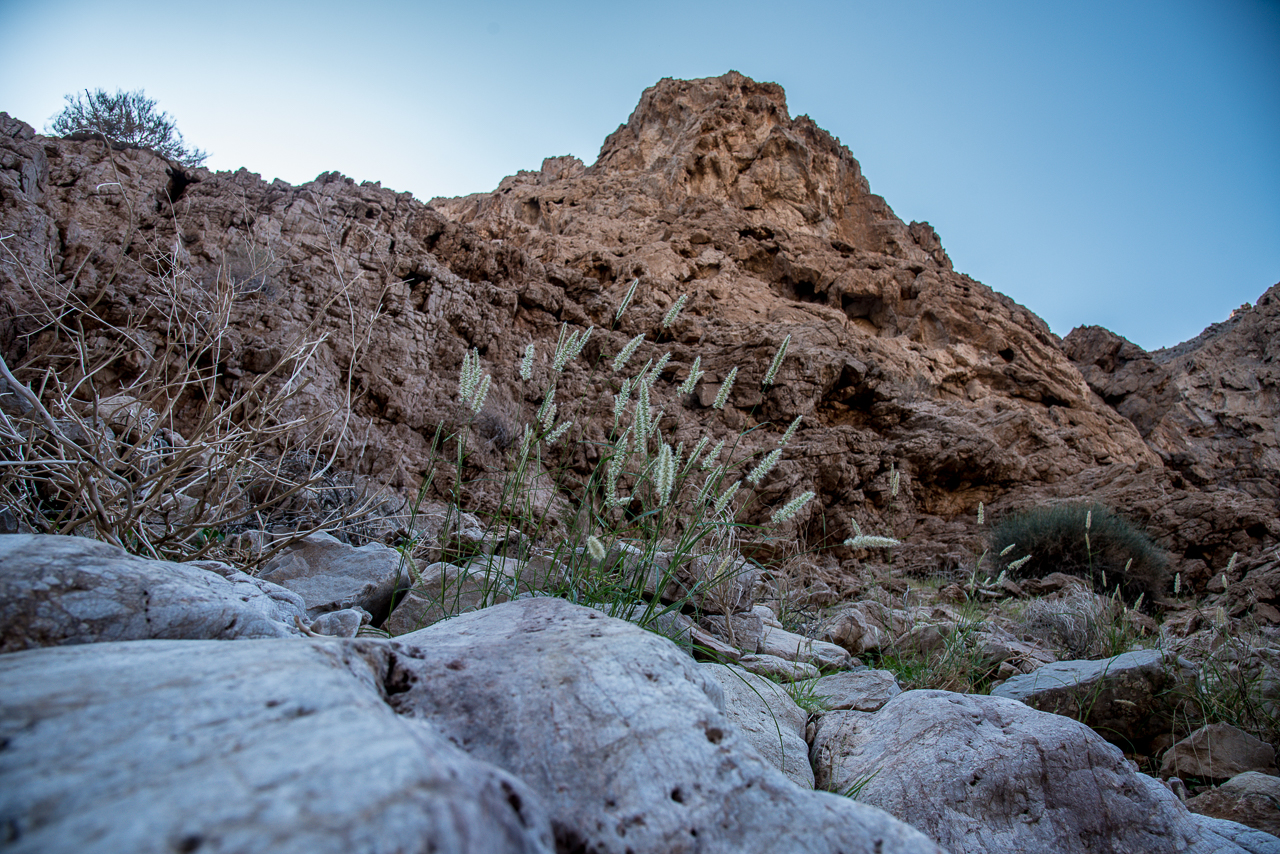 Muscat Treks: Al Mahaj Cave at Amerat – OmanTripper